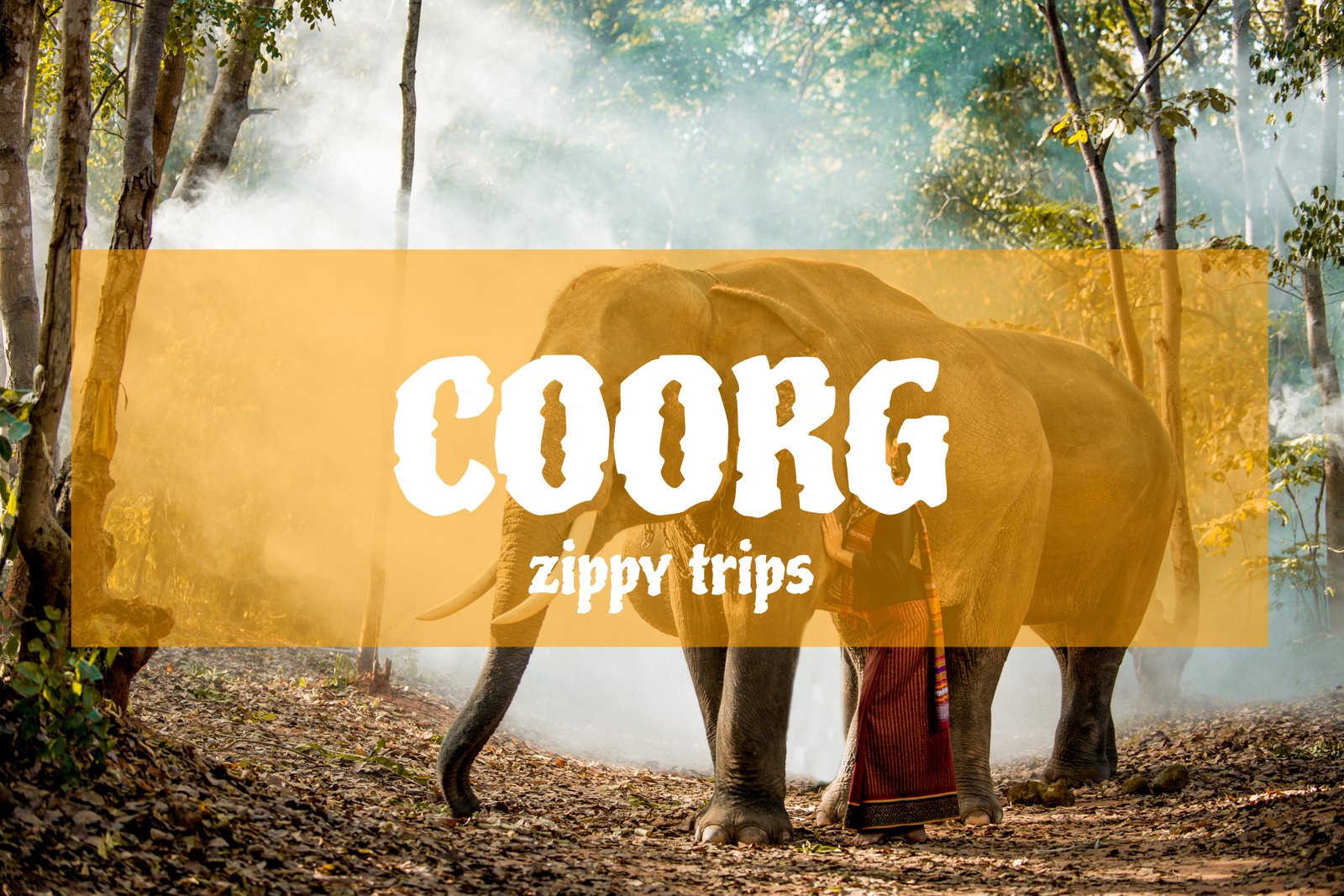 Coorg 2-Day Weekend Trip from Bangalore | Group Tour @ ₹4499 | Zippy Trips - Zippy Trips